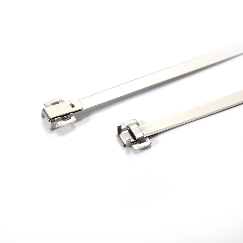 Buckle Strap Stainless Steel Cable Ties – SHAOXING DINGDONG ELECTRICAL ...