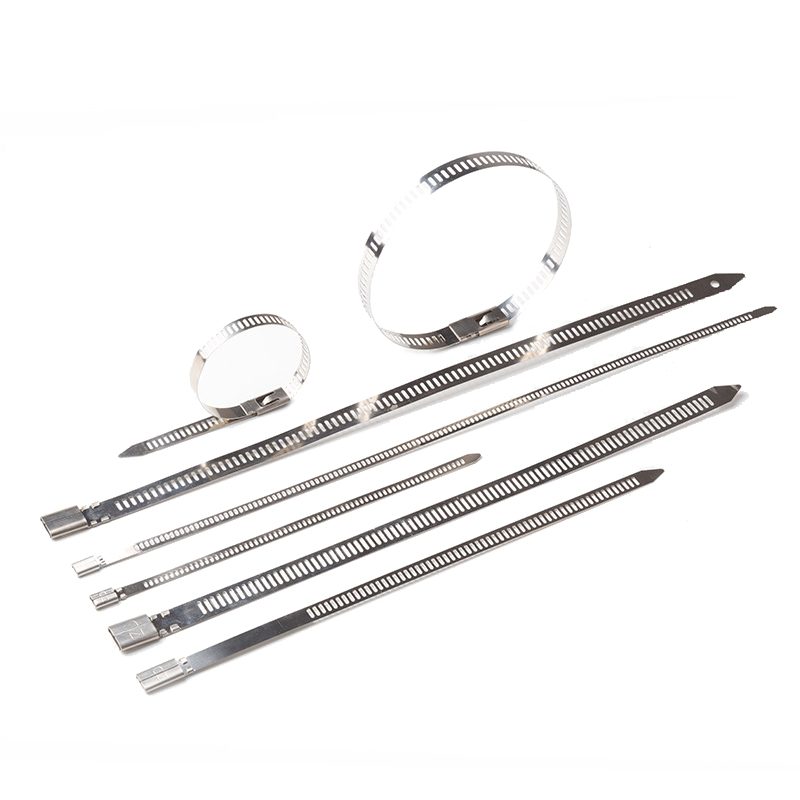 Mutil Lock Ladder Stainless Steel Cable Ties – SHAOXING DINGDONG ...